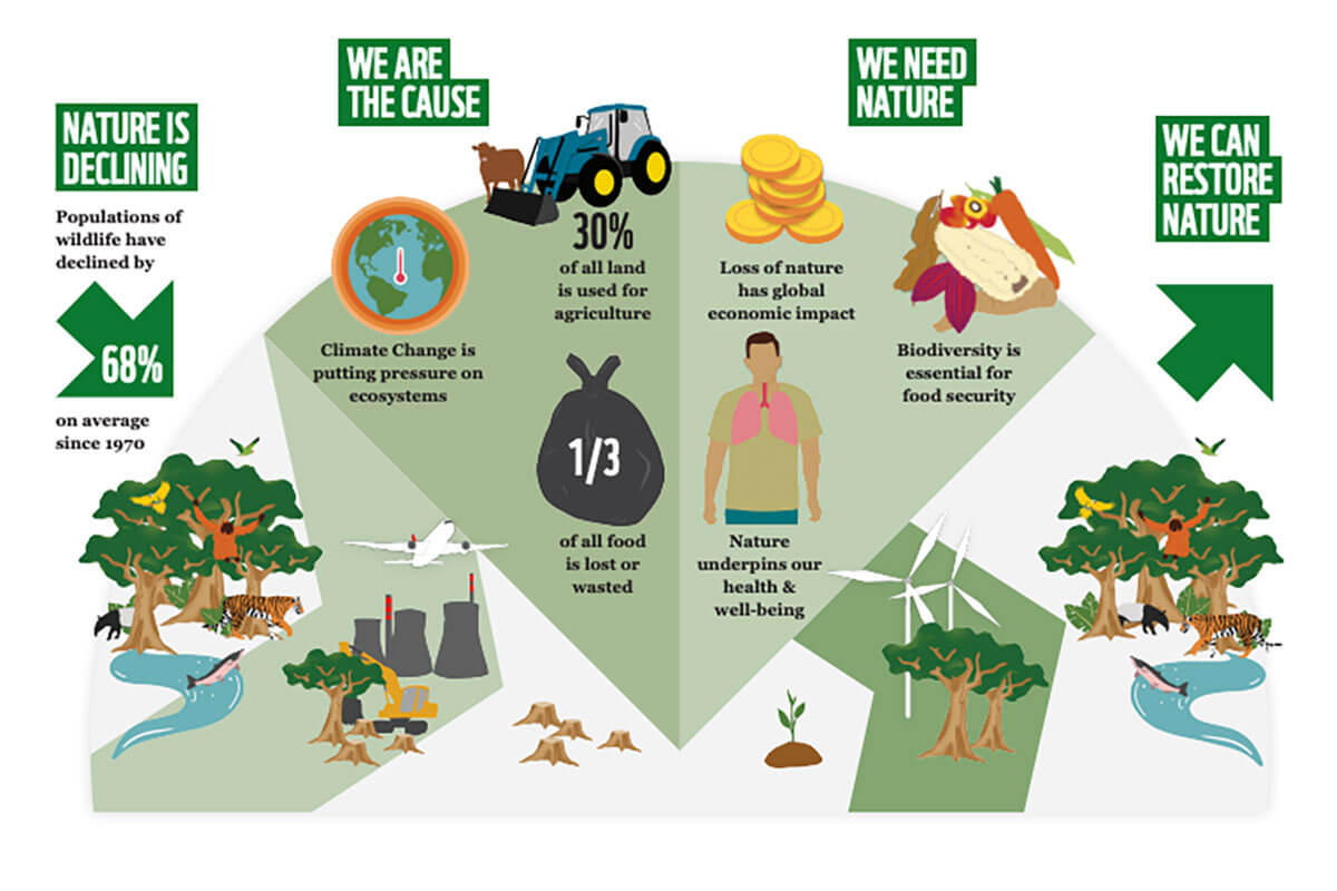 Τι είναι τα Infographics και που χρησιμεύουν - Grow Digital